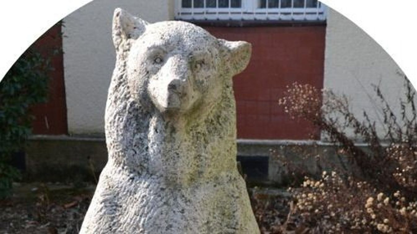 Véget érhet a tatabányai Sütkérező mackó kálváriája