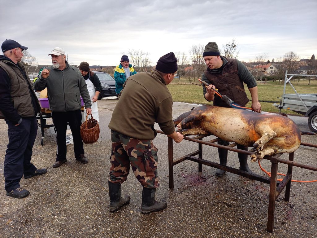 Hagyományos disznóvágás Kocson: disznótoros februárban