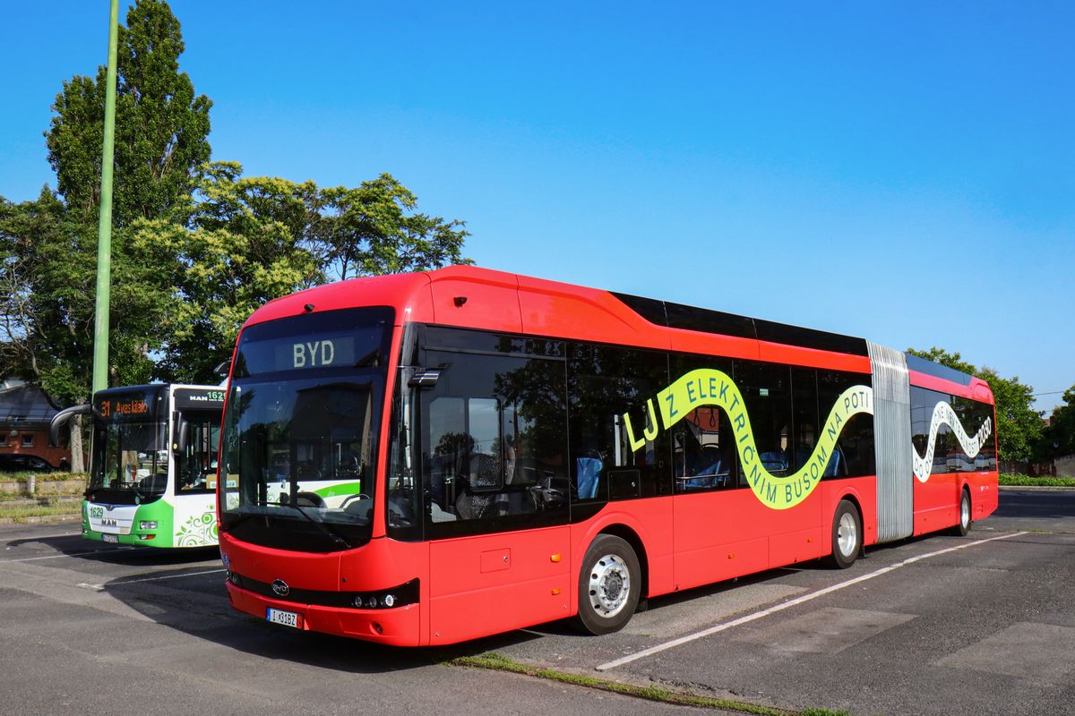 BYD-premier: már jár az új elektromos busz