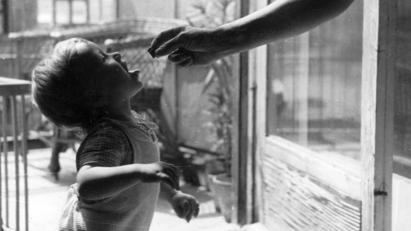 Retró csokik: Mutatjuk, hogyan is festettek