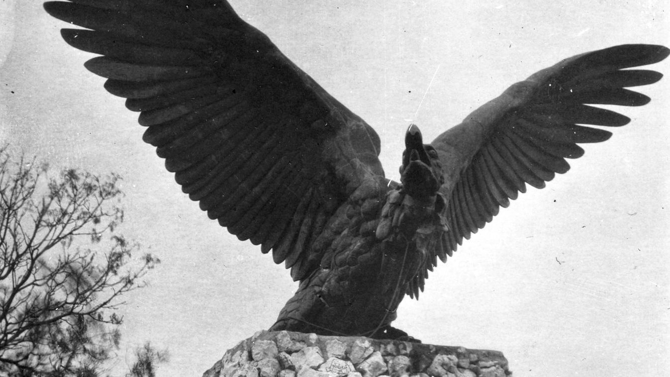 Turul madár: retró fotók+videó