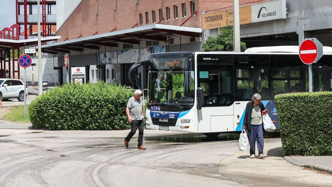 T-Busz menetrend: minden megváltozott, a menetdíjak is nőttek