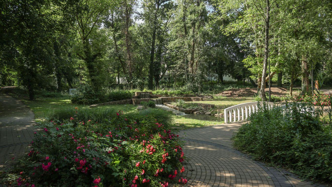 Liget park Tatabánya puzzle természet Liget park Liget-tó játék online