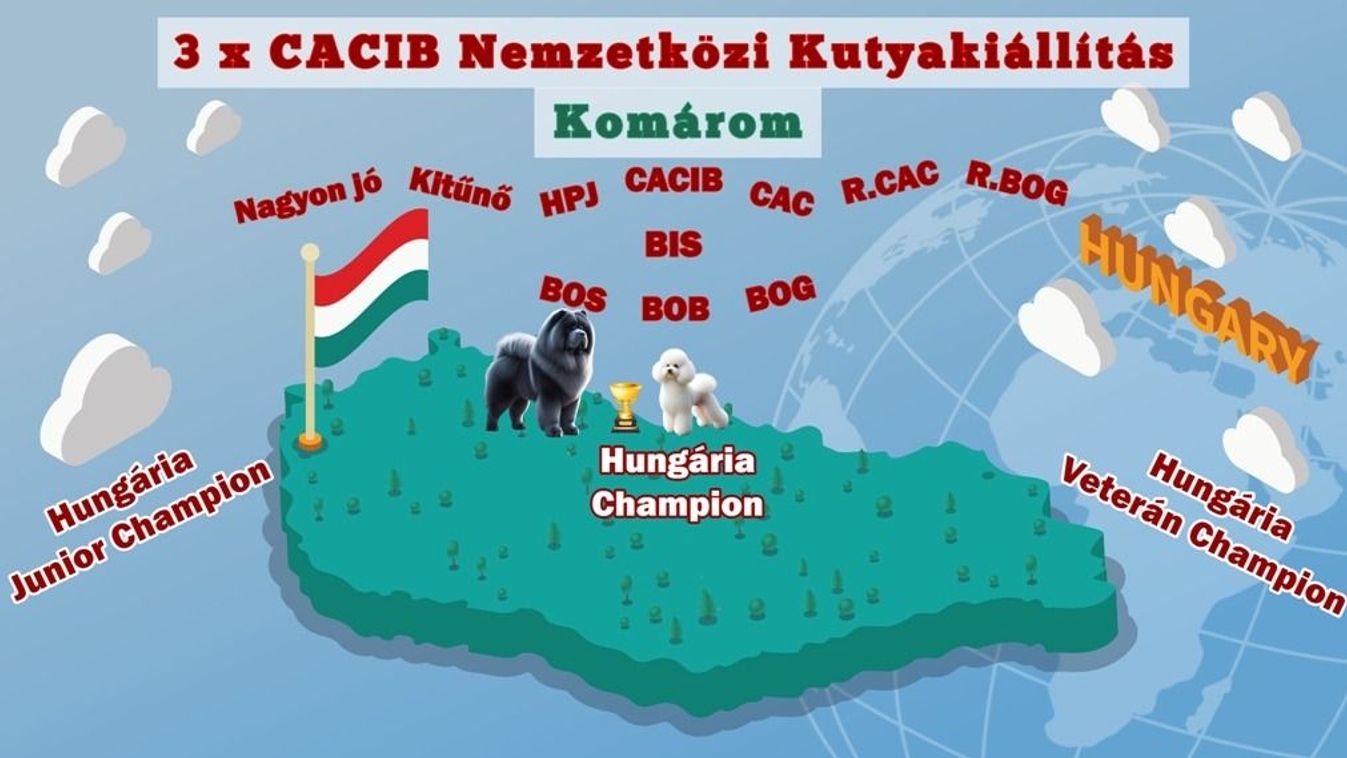 Kutyakiállítás az erődben: újra itt a CACIB ebverseny