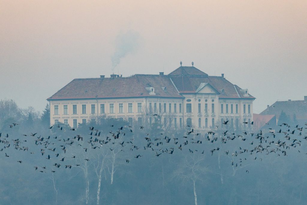 Tatai Vadlúd Sokadalom 2025 - megtörétnt a kihúzás!
