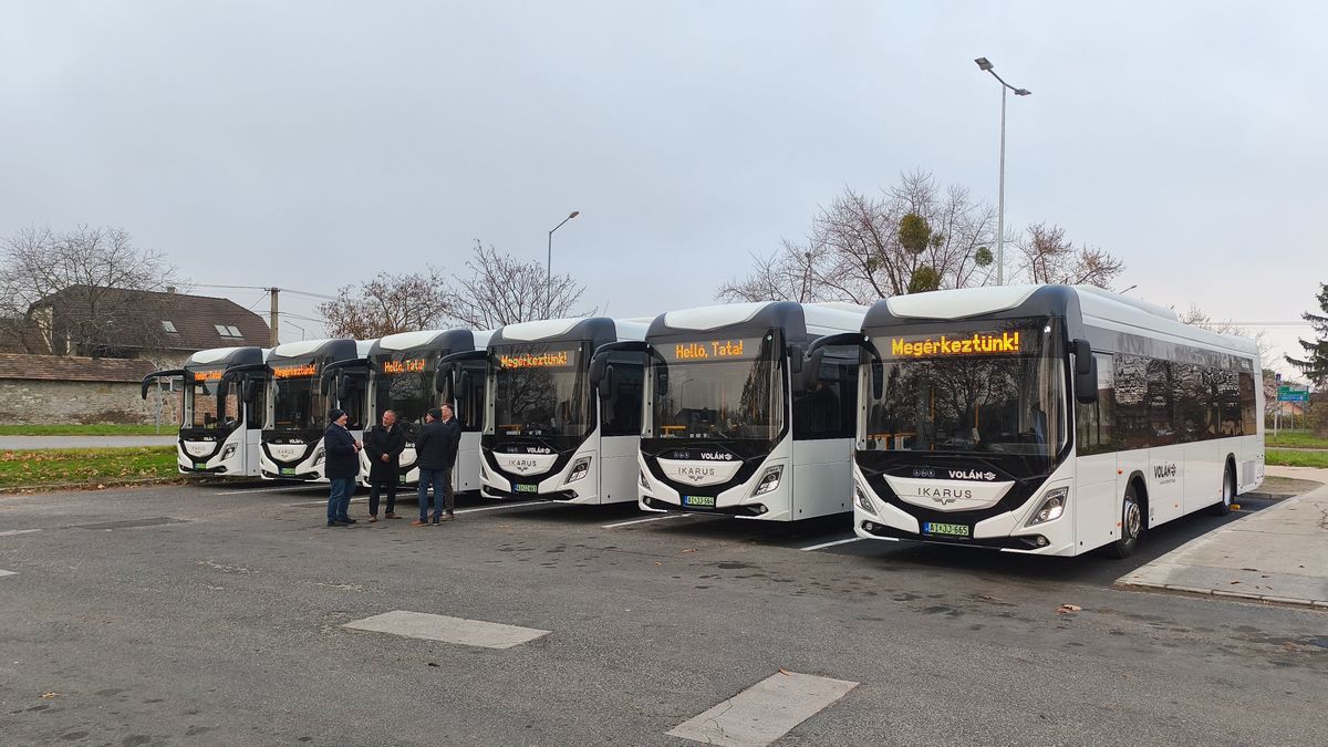 Ikarus elektromos busz Tatán – hat új jármű állt forgalomba