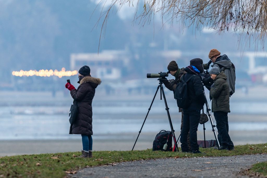 Tatai Vadlúd Sokadalom 2025 - megtörétnt a kihúzás!