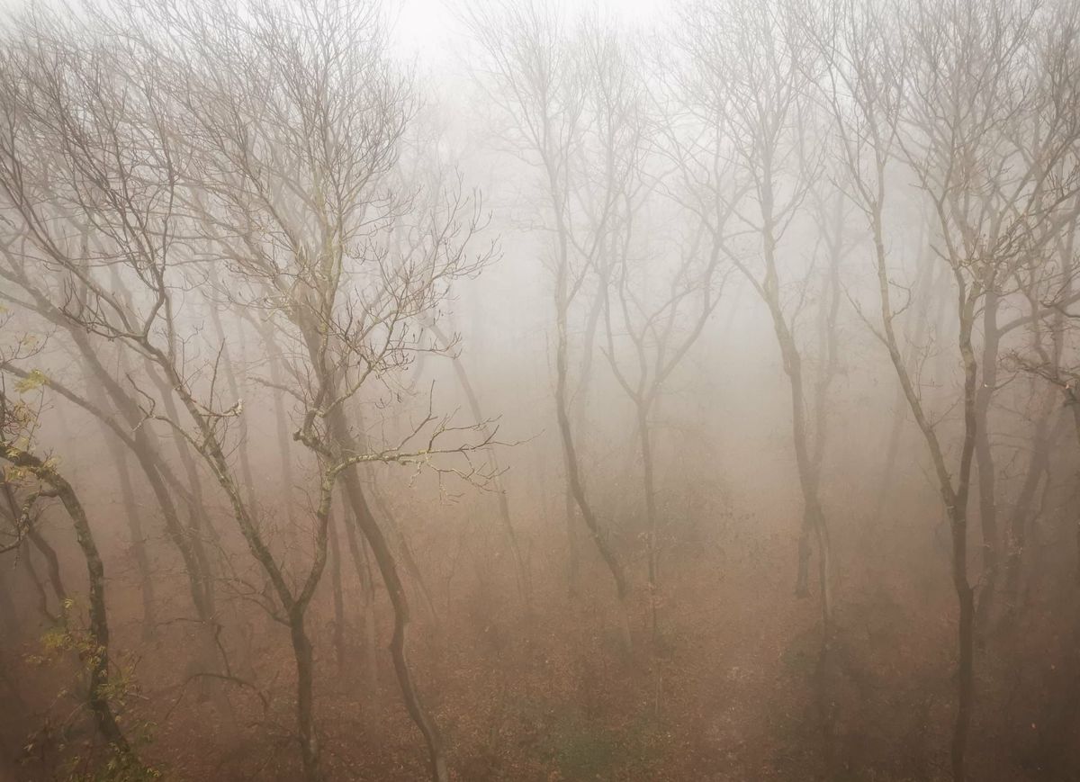 Milyen idő lesz holnap Tatabányán? – Előrejelzés 2025-12-22